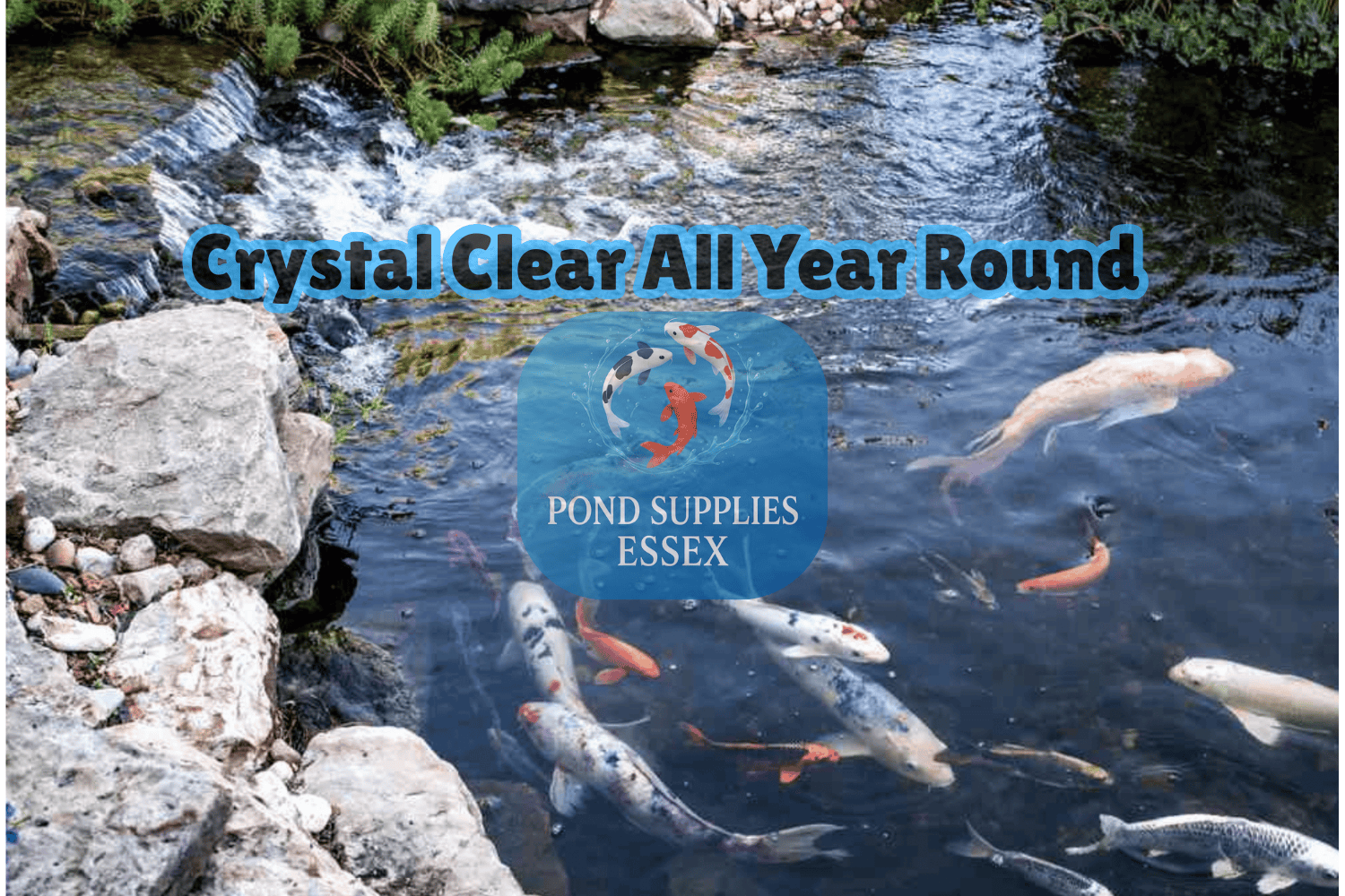 How to Keep Your Pond Water Crystal Clear All Year Round. – Pond ...